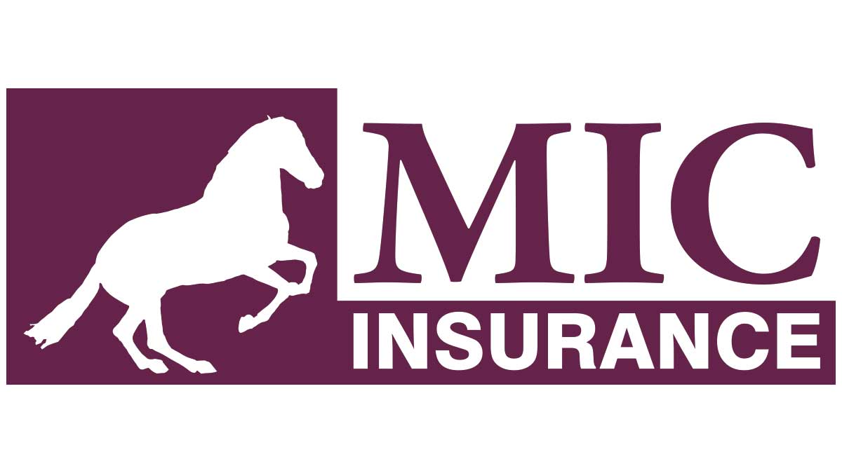 Seguro de Construcción - MIC Insurance España